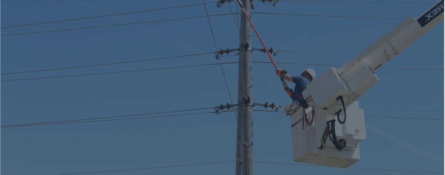 Solutions for Utility Providers | Sentient Energy