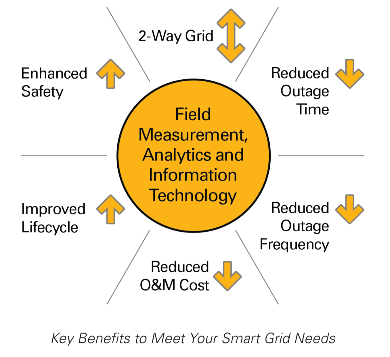 Public Power Grid Analytics System - Sentient Energy